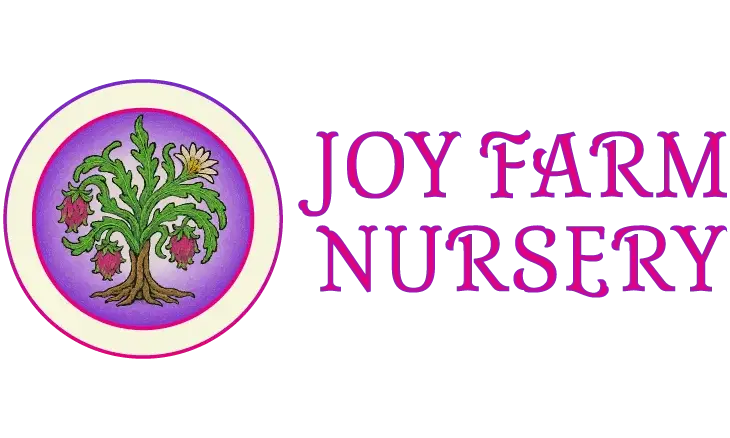 Exotic Fruit Trees - Best variety on the KZN South Coast